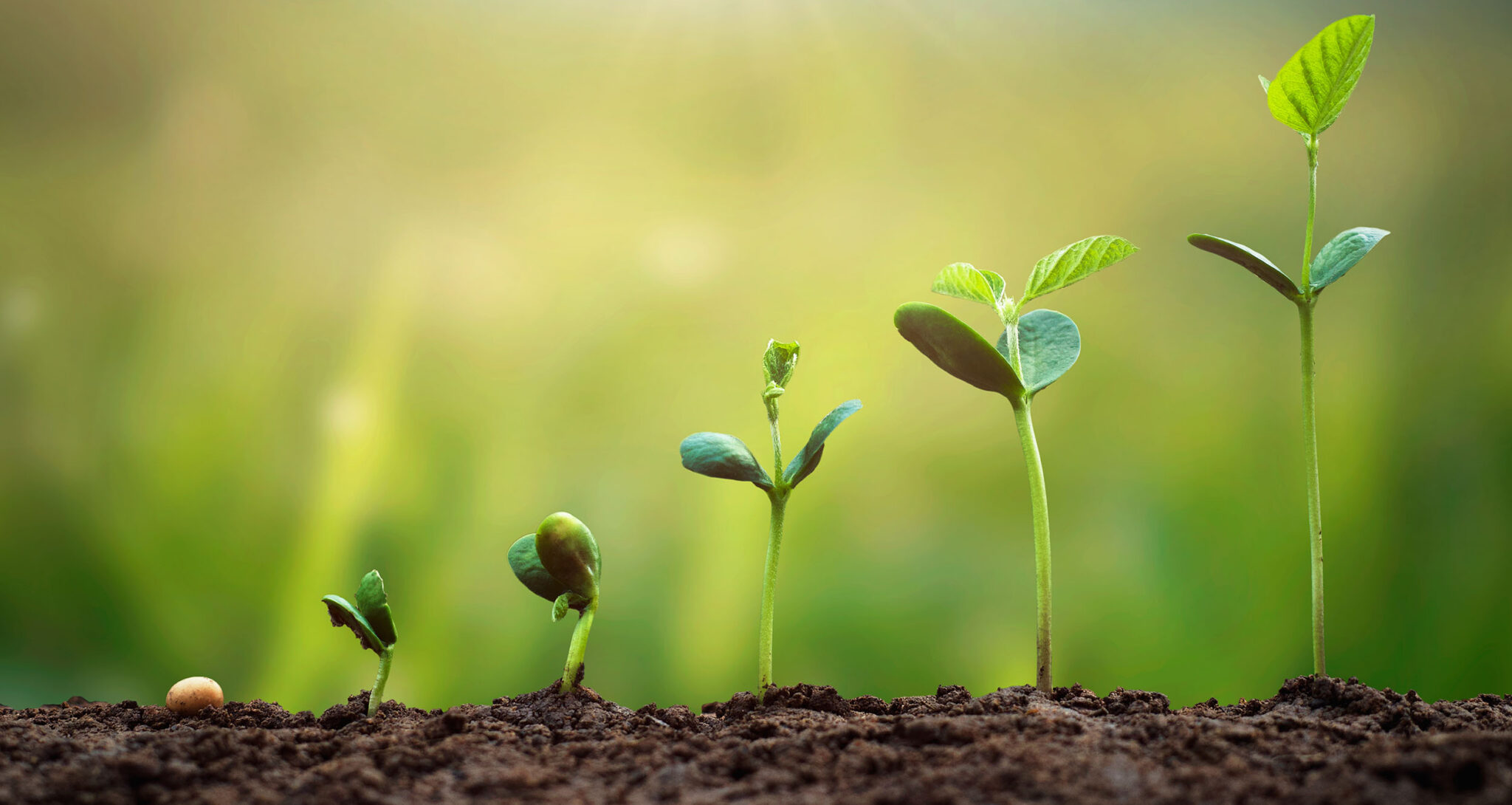 Spiritual Reproduction Requires Intimacy with God - Navigators Church ...