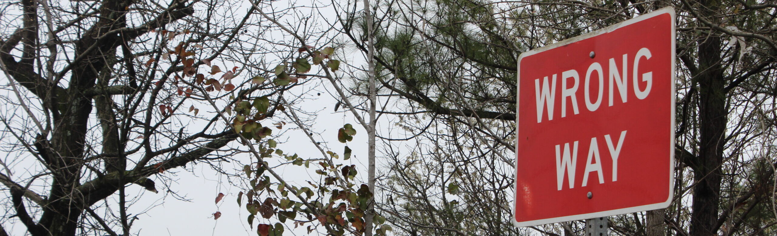 A Wrong Disciplemaking Assumption and 3 Ways to Overcome it ...